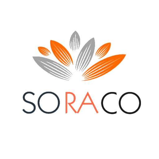 Software Protection, Copy Protection, Licensing Solution